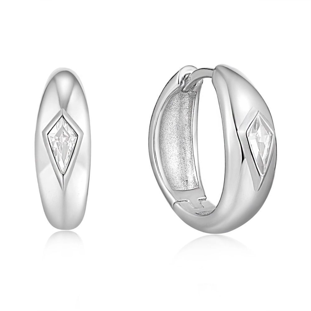 Серьги Ania Haie / E041-06H-W купить в Минске недорого в Time.by