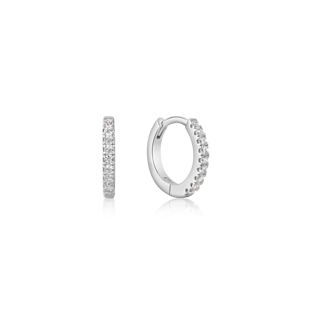 Серьги Ania Haie / E035-17H купить в Минске недорого в Time.by